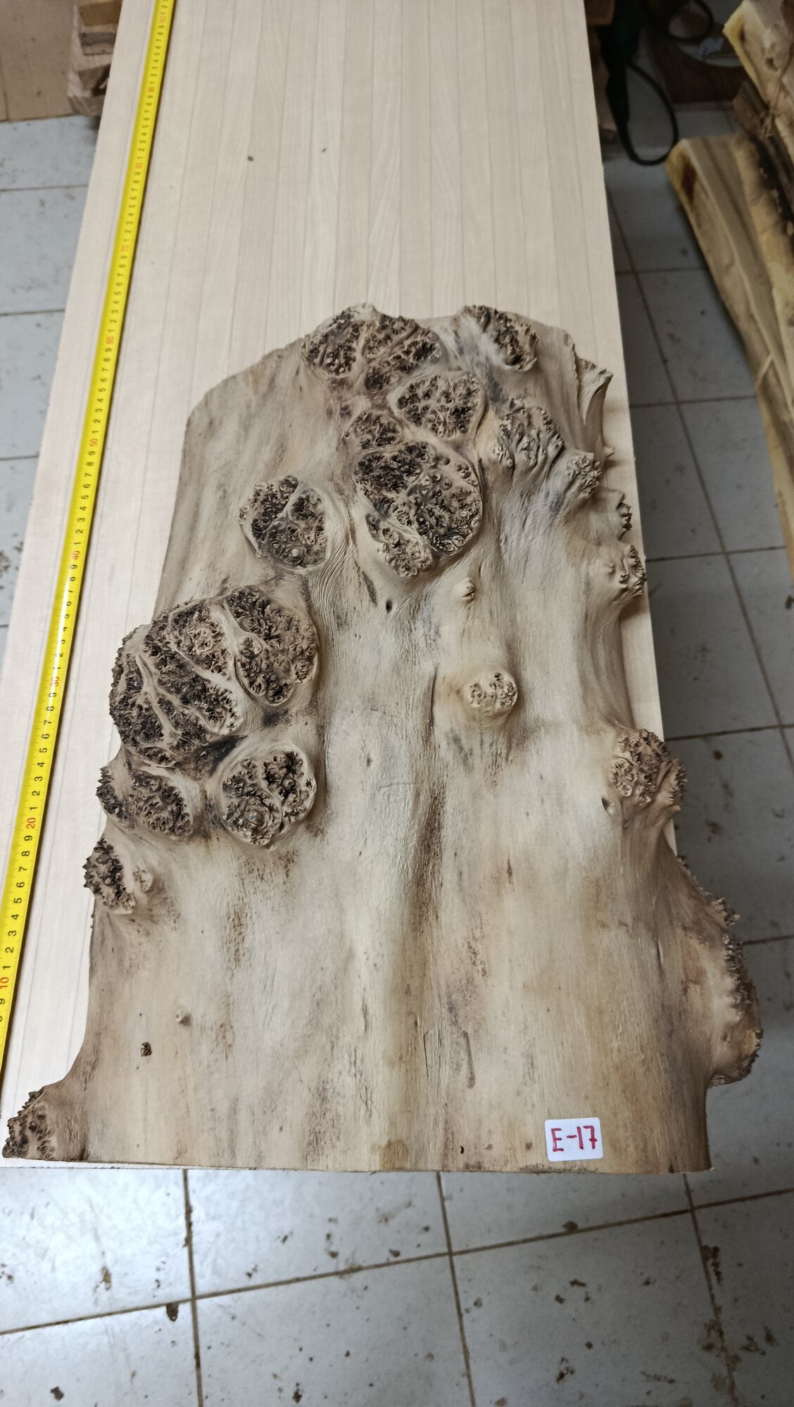 Спил из карагача, каповый, 50х34х7см(Е17)высушенный , влажность 8%