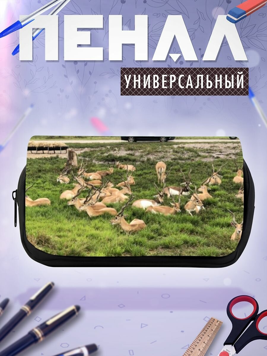 Школьный пенал белохвостый олень экосистема