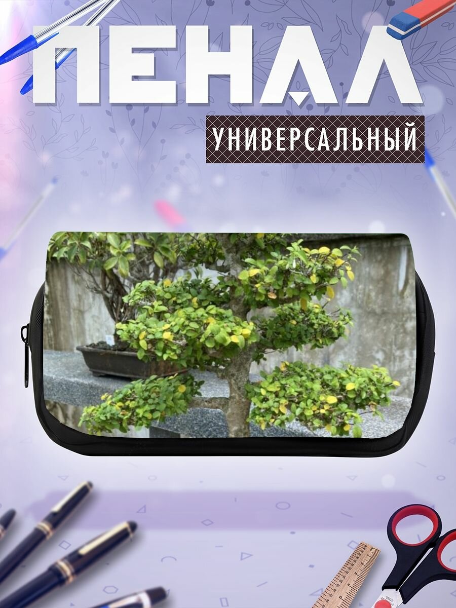 Школьный пенал дерево китайская сладкая слива