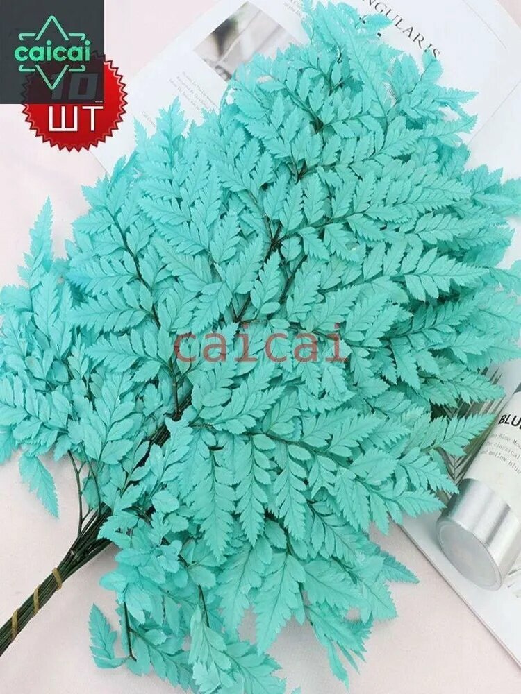 Сухоцветы Папоротник, 40 см, 30 гр, 10 шт