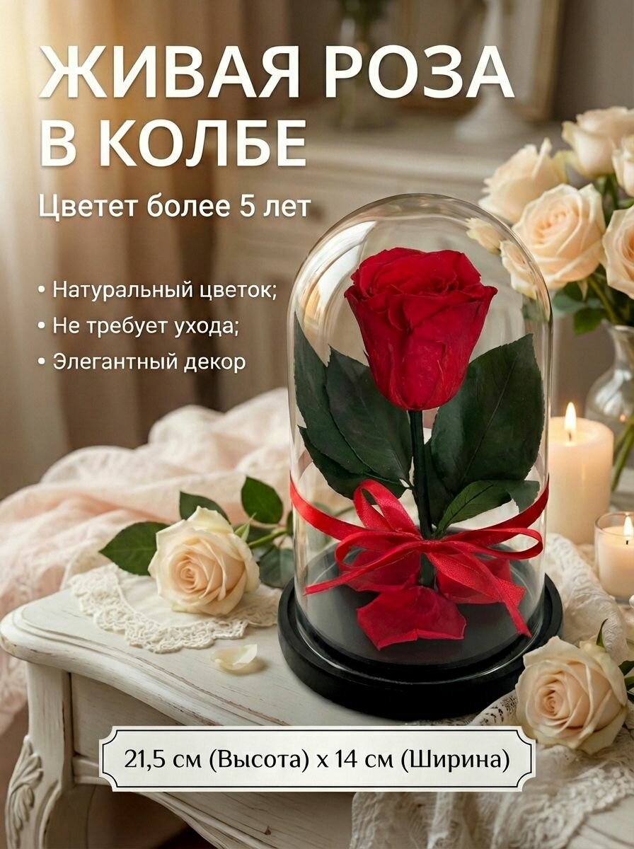 Стабилизированные цветы в стекле, Роза в колбе живая Glamur красная , GIFT4YOU