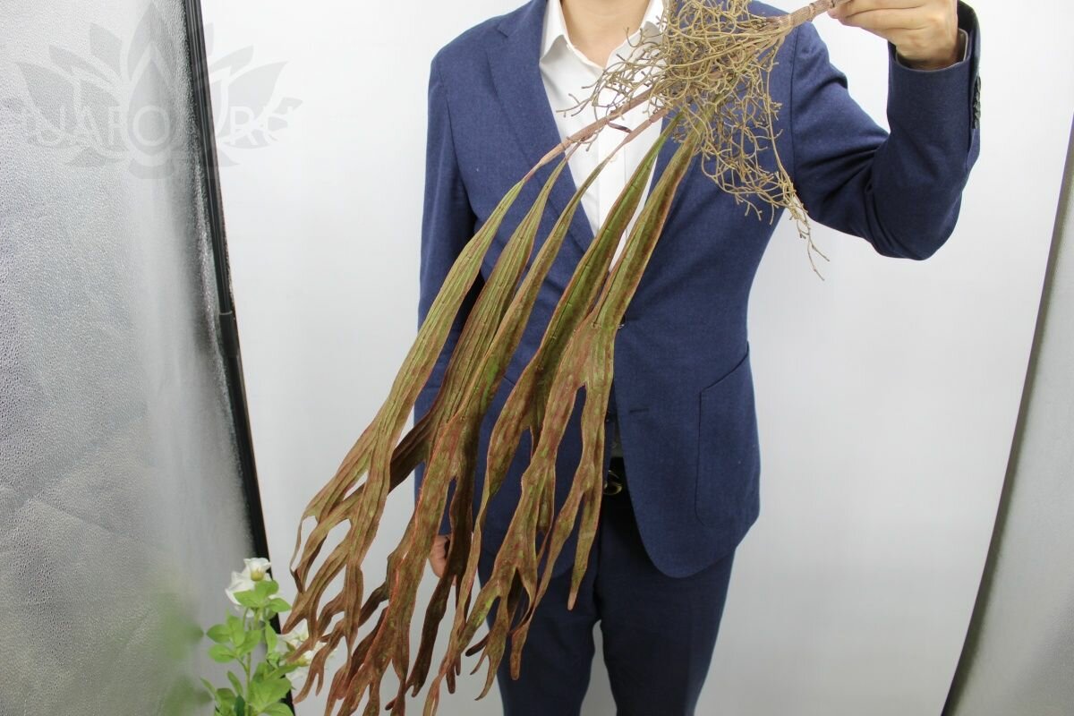 Папоротник бурый Стегхорн (Оленьи рога) ампельный искусственный премиум для декора интерьера в кашпо фитостены 65 см