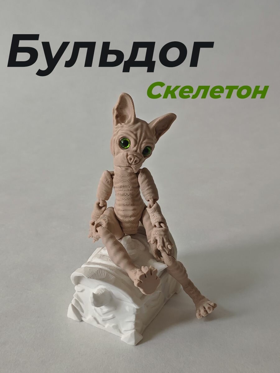 Бульдог скелетон