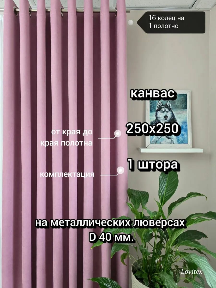 250х250 1 шт. Канвас на люверсах
