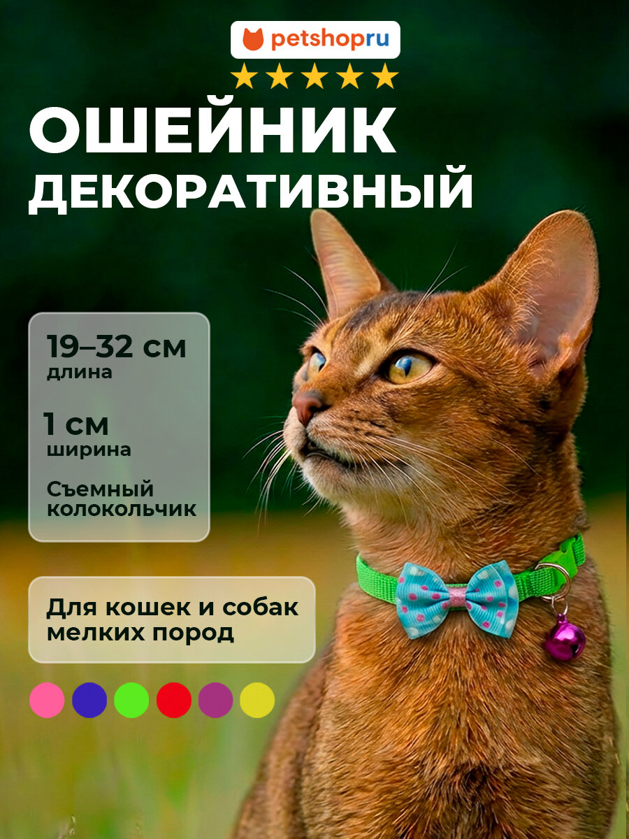 PETSHOP Ошейник для кошек и собак малых пород "Белла", 16-32*1 см