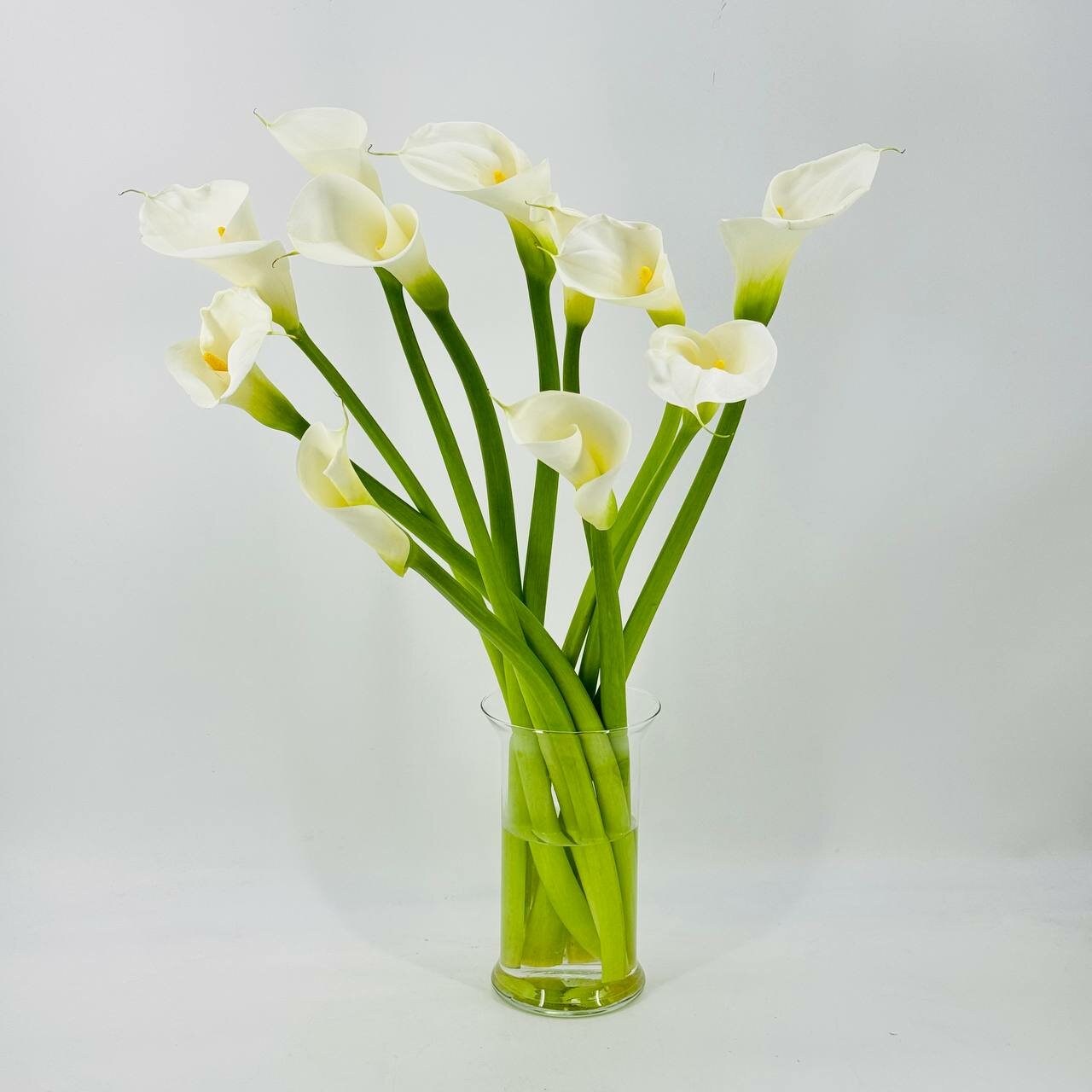 Каллы белые 11 шт. Живые цветы для дома