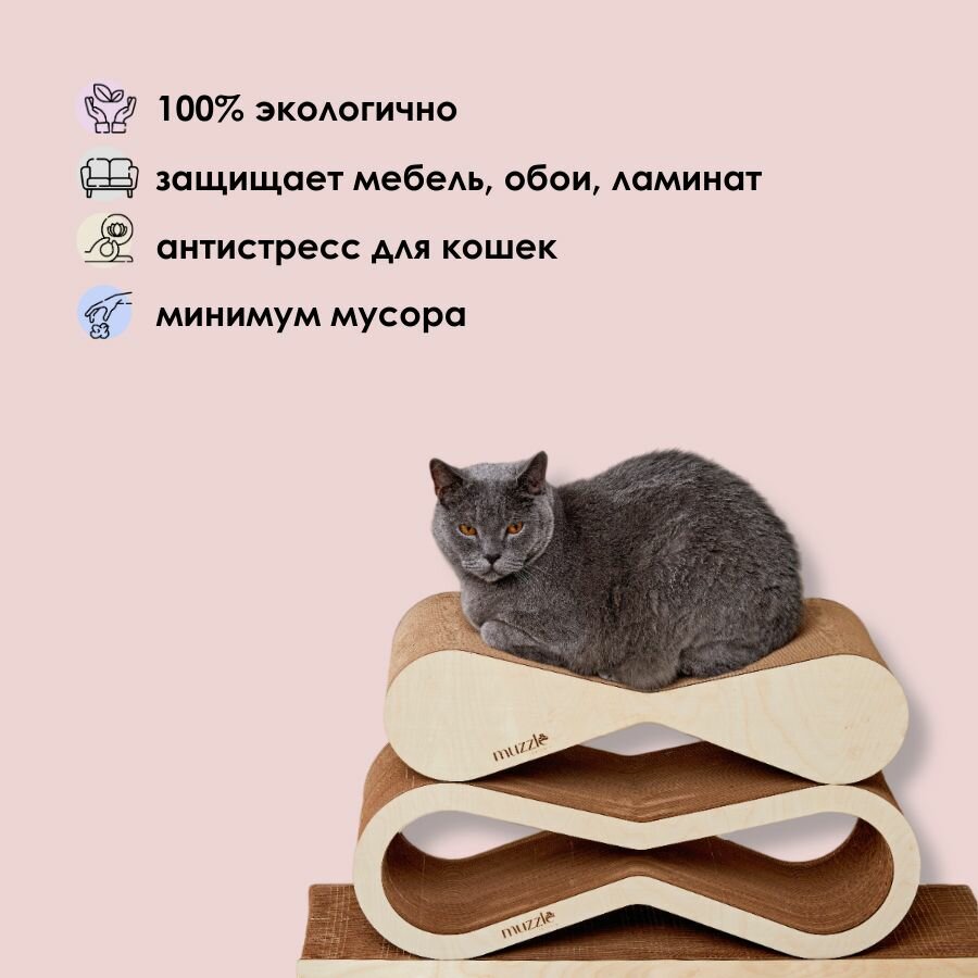 Когтеточка — фото 1