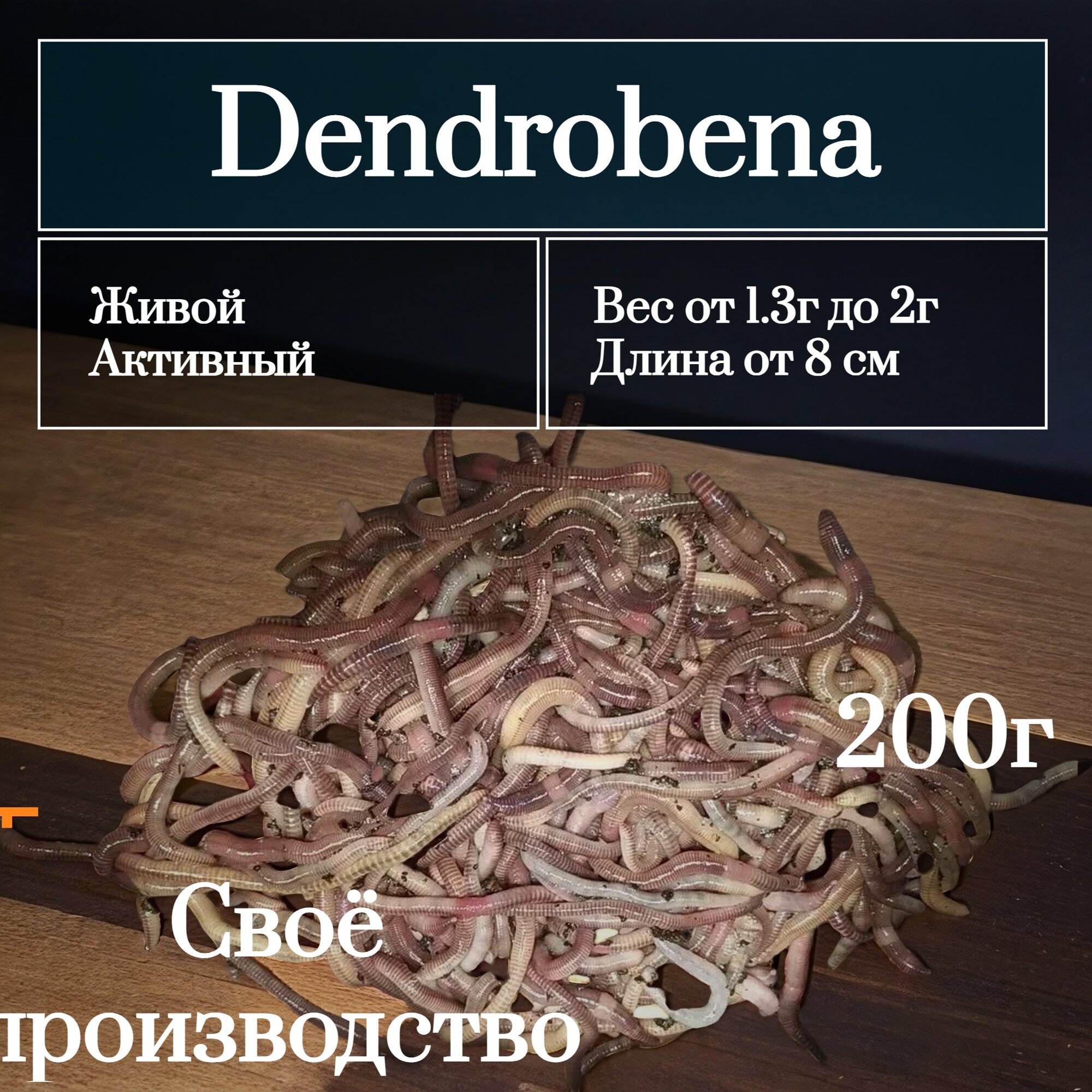Живые черви для рыбалки Дендробена (Dendrobaena) (Размер M) Вес червя от 1.3 до 2г Общая масса червей без грунта 200г