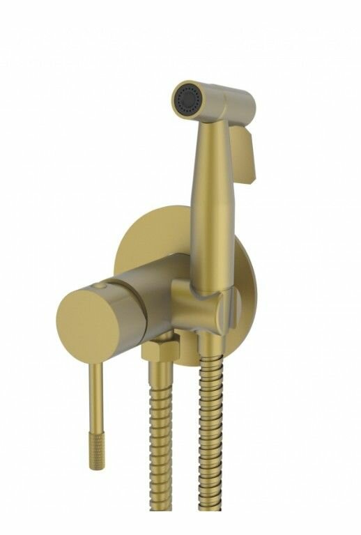 Смеситель встроенный с гигиеническим душем VIEIR V403553-S