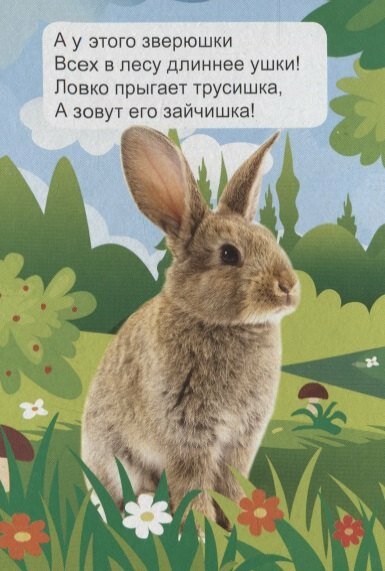 ЦК мини. Лесные животные — фото 1