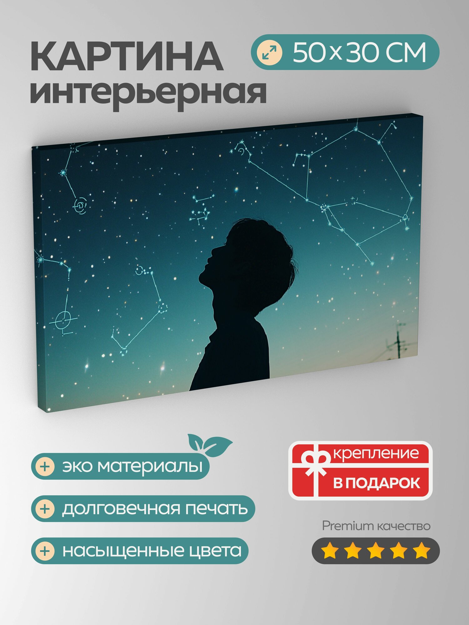Картина на холсте интерьерная 50х30 см, силуэт человека, звездное ночное небо, астрологические символы, созвездия