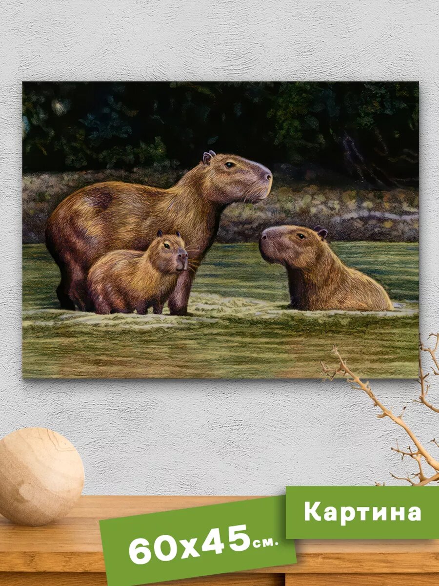 Картина на стену на холсте Капибара на водных процедурах