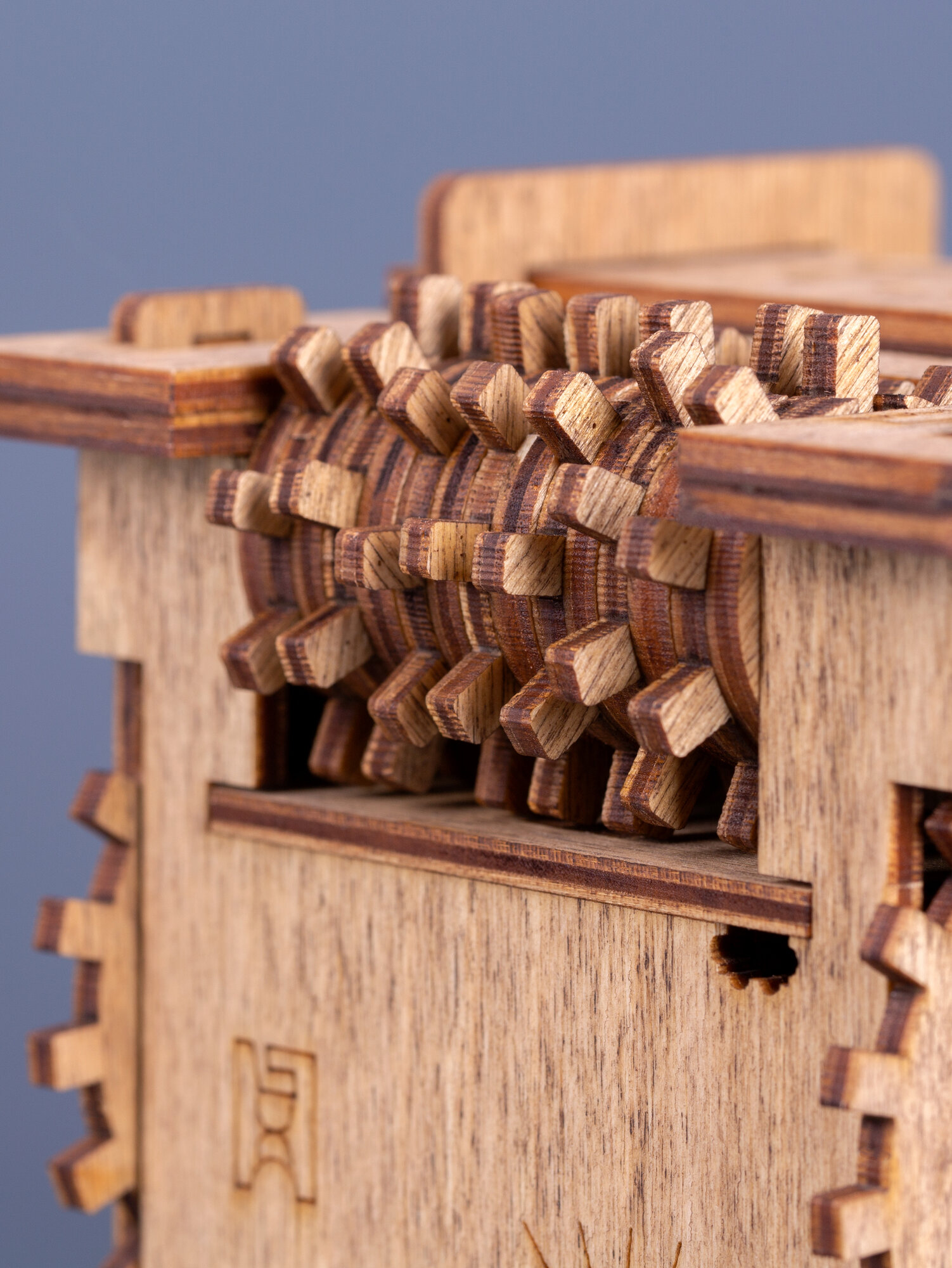 Квест-шкатулка Кот Шредингера — фото 1