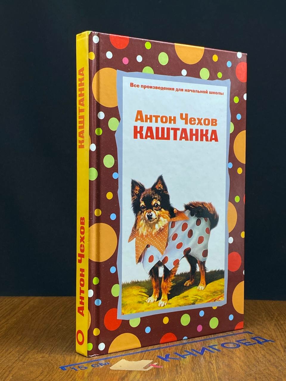 Книга. Каштанка 2007 (2044090790197)