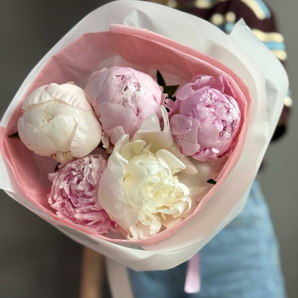 Пионы 5 штук в букете Пионы розовые и белые в монобукете коллекция