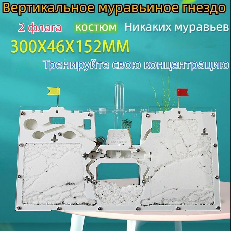 Экосистема муравьиной фермы -kpa