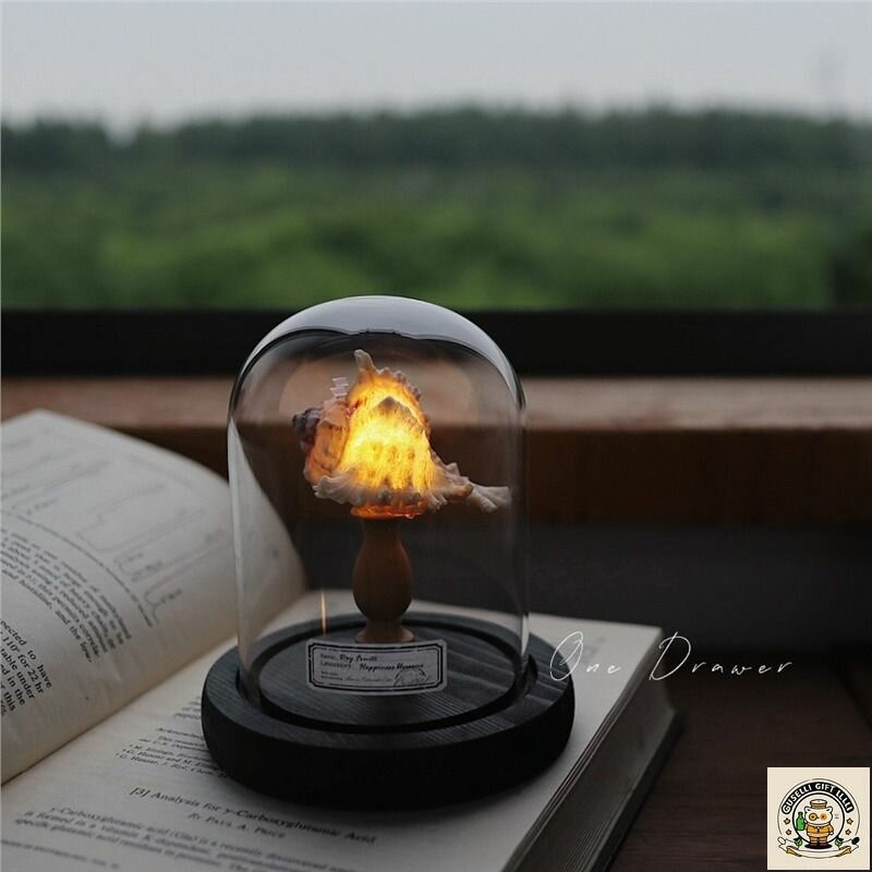Ночник ручной работы из раковины, ночник для diy