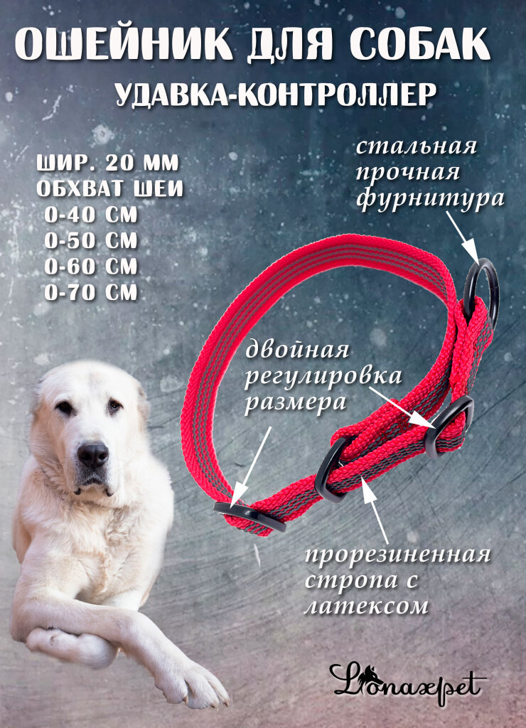 Ошейник-контроллер для собак из прорезинного нейлона с латексом красный шир.20 мм 40 см