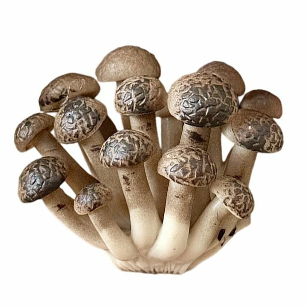 Магниты-грибы для холодильника