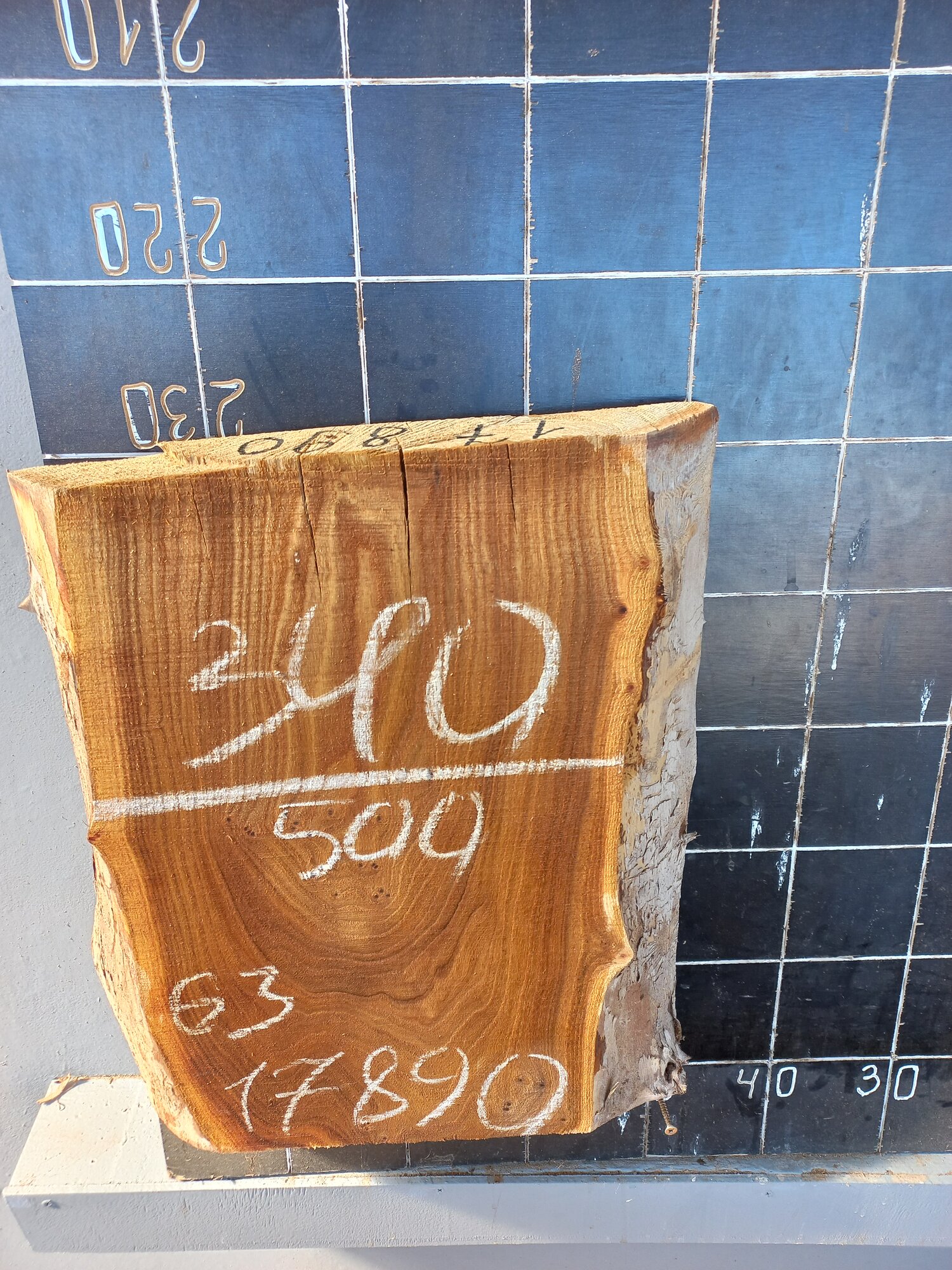 Слэб натурального дерева ценных пород Карагач №17890, 6*34*50 см, доклес