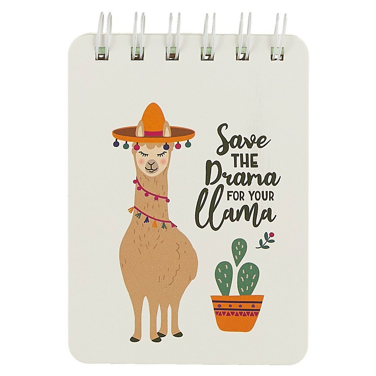 Блокнот «Nice llama», 80 листов, А6
