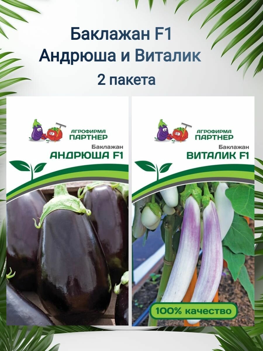 Баклажан Андрюша F1 и Виталик F1 2 пакета по 10шт семян