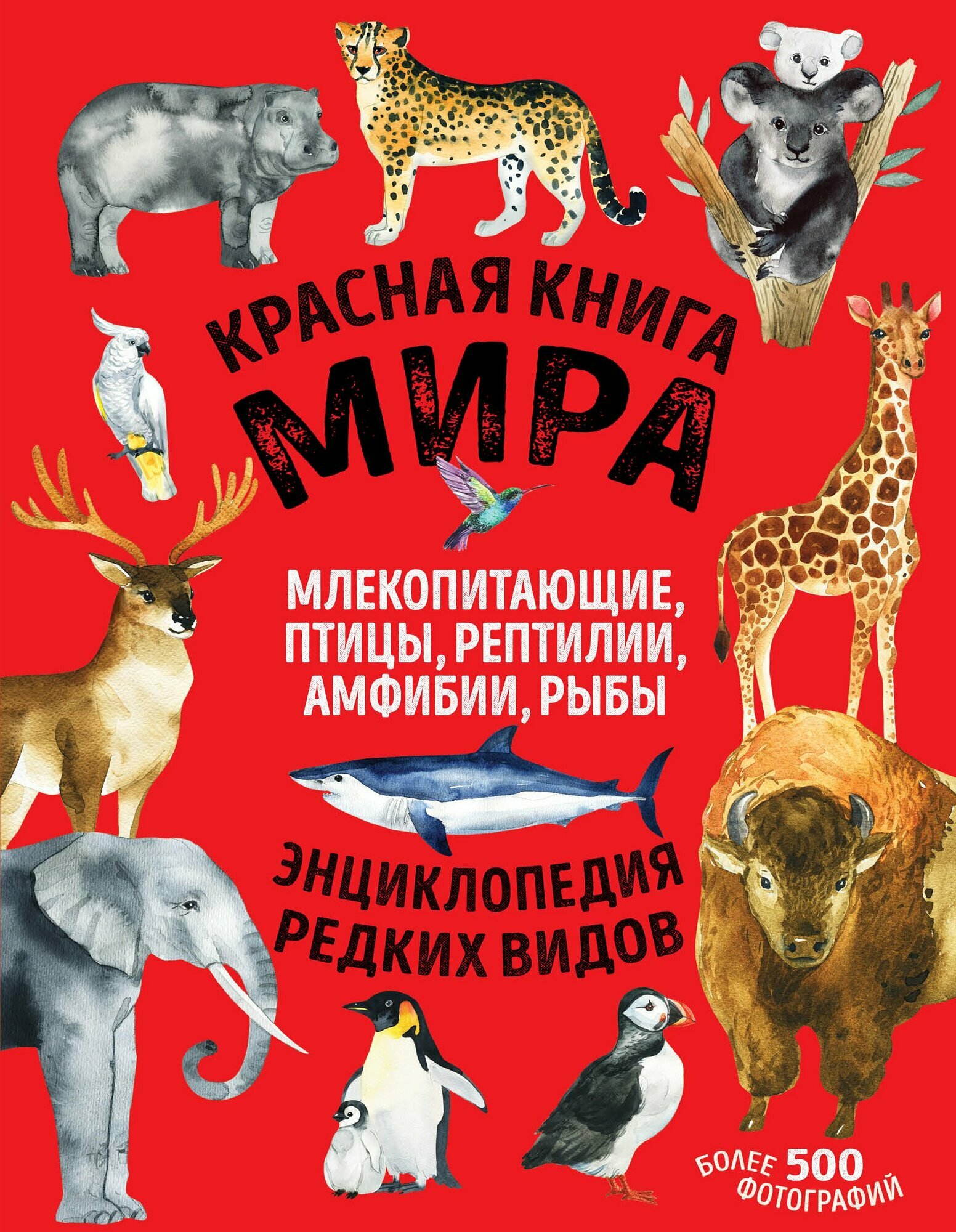 Книга: "Красная книга мира: млекопитающие, птицы, рептилии, амфибии, рыбы" от Лукашанец Д, русский язык, Зоология