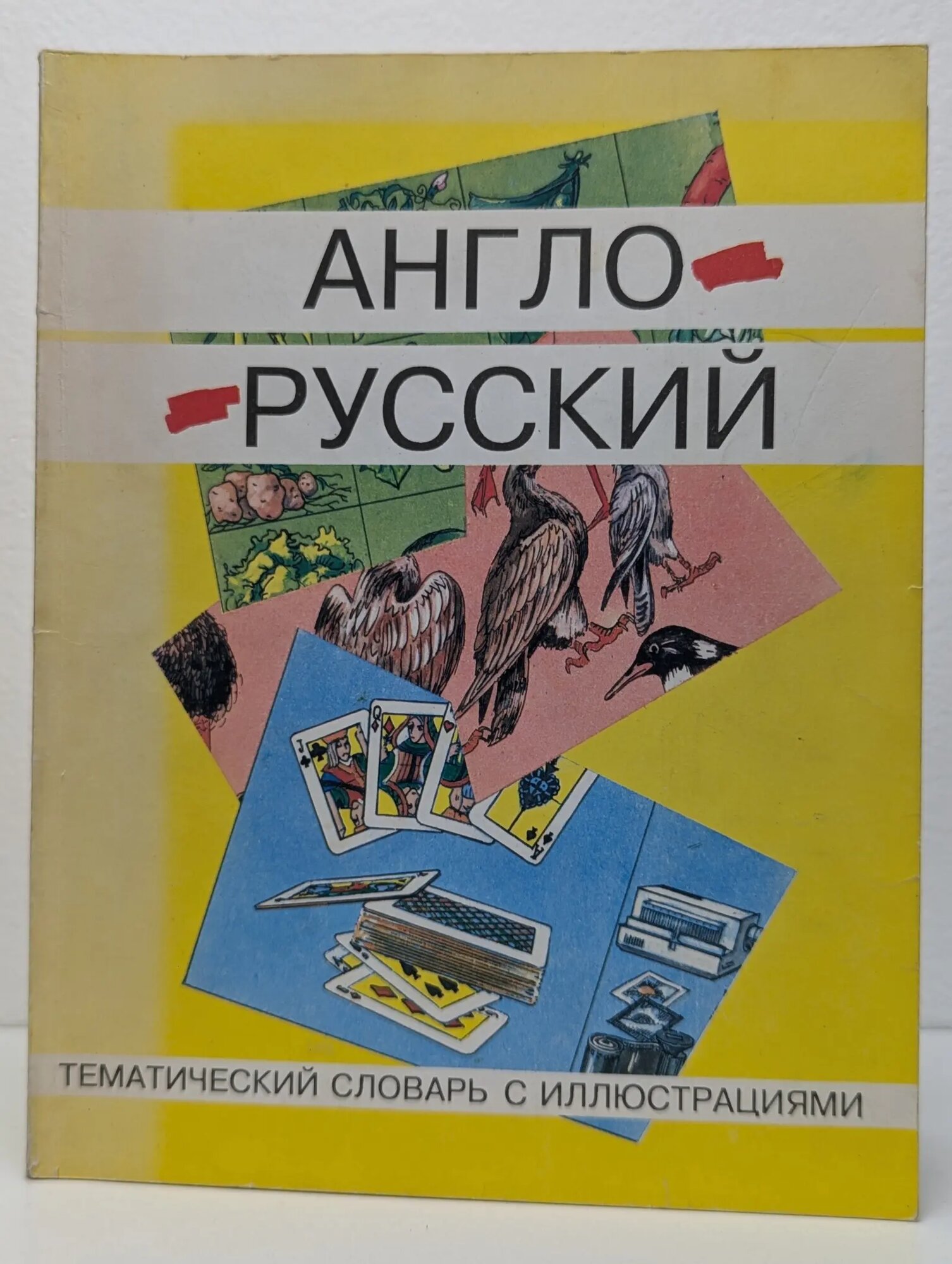 Англо-русский тематический словарь с иллюстрациями 1993