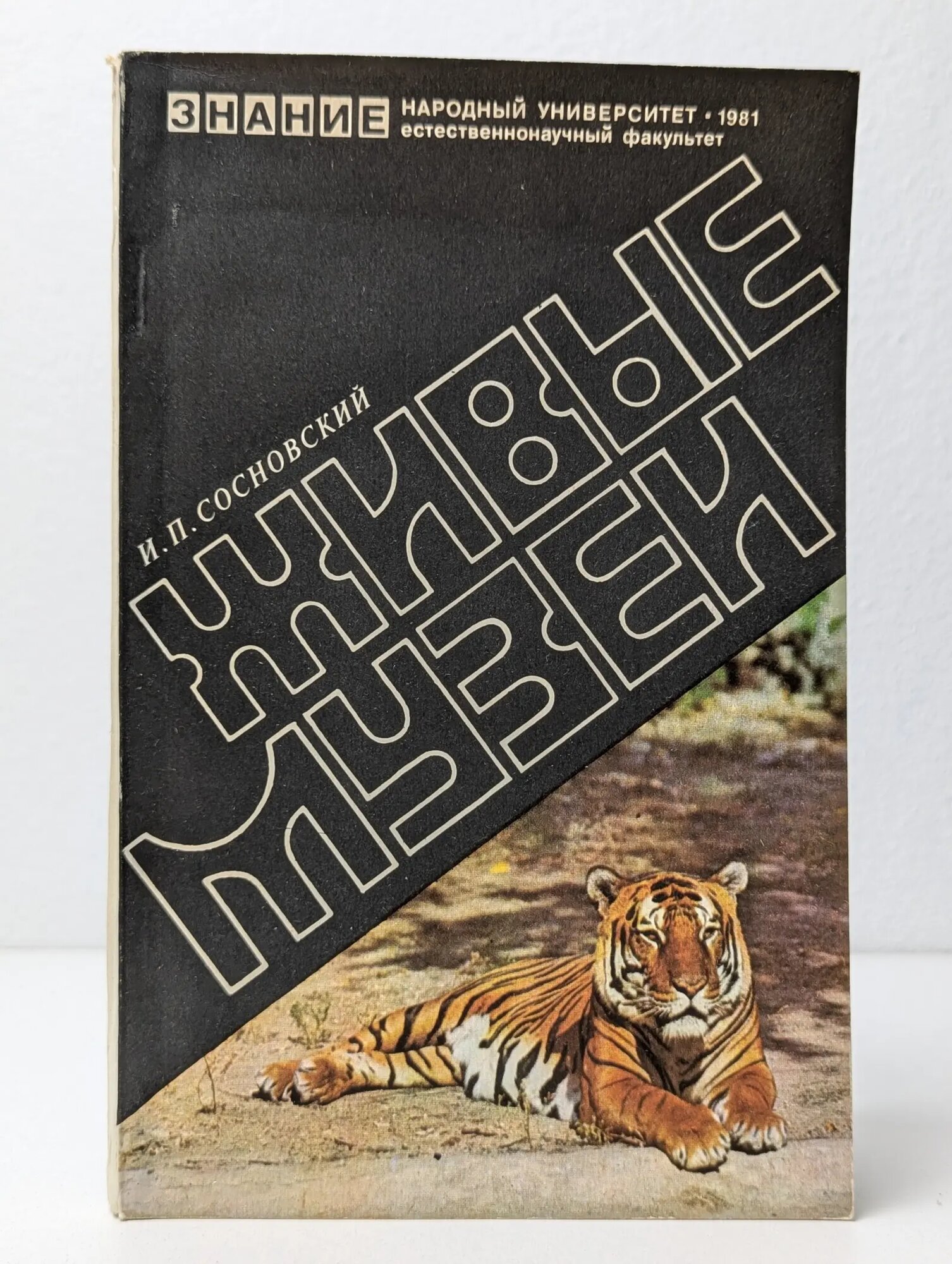 Живые музеи Сосновский Игорь Петрович 1981
