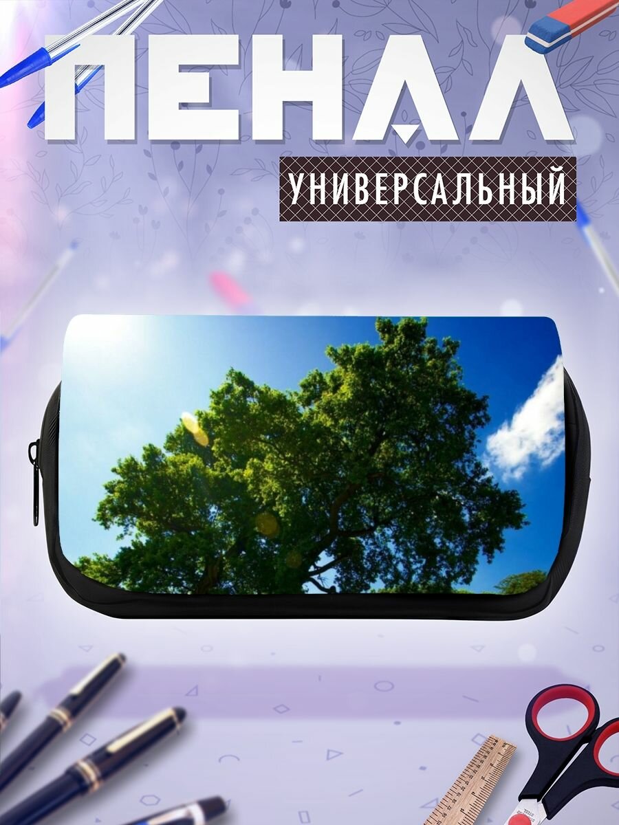 Школьный пенал дерево природа