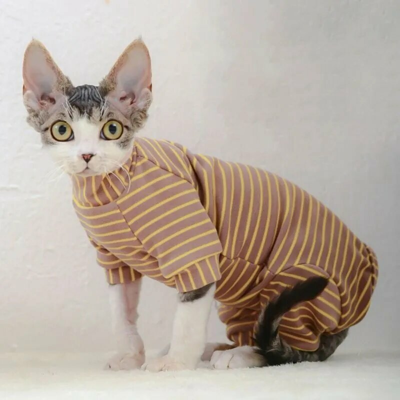 Костюм, комбинезон, худи, толстовка для сфинкса