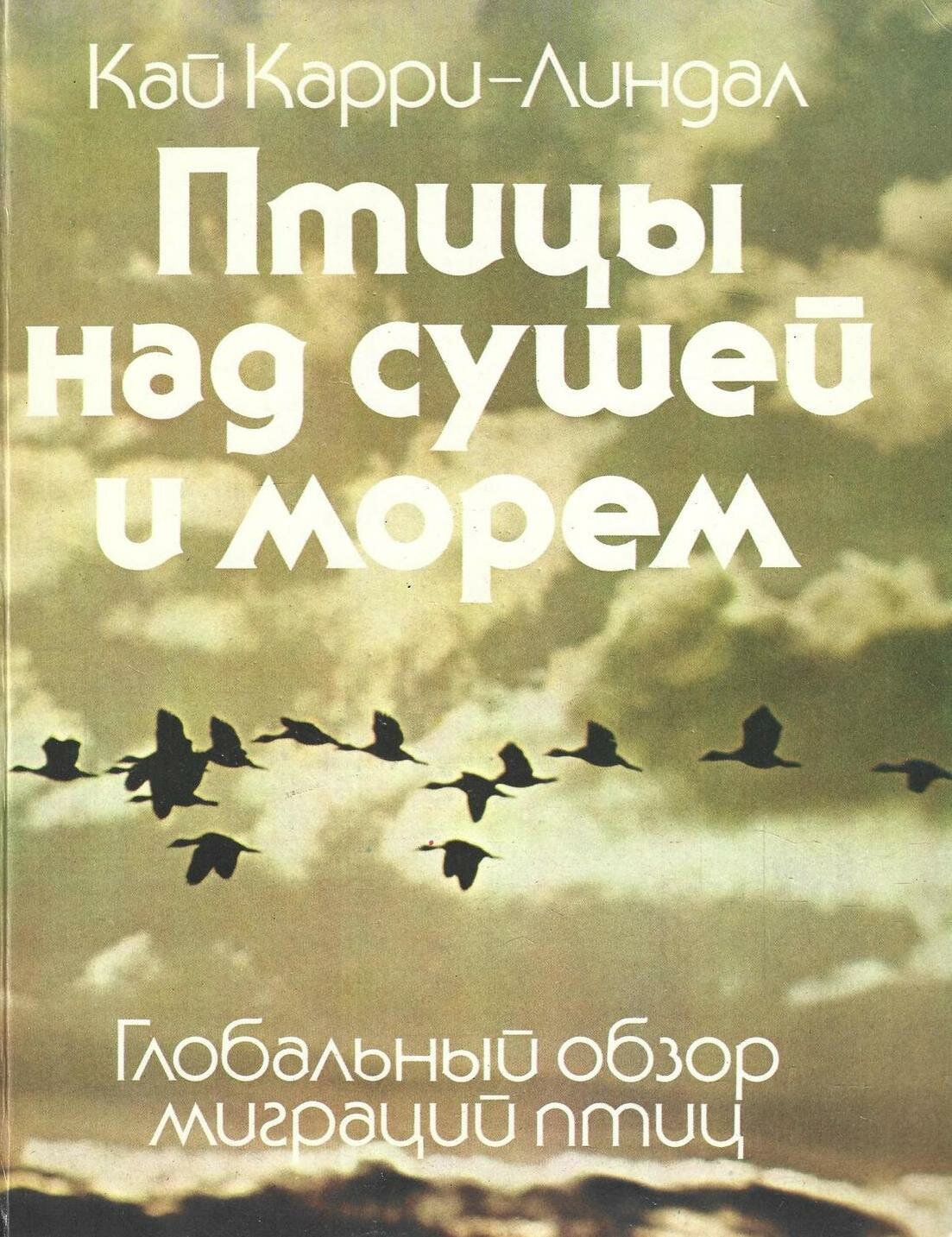 Птицы над сушей и морем