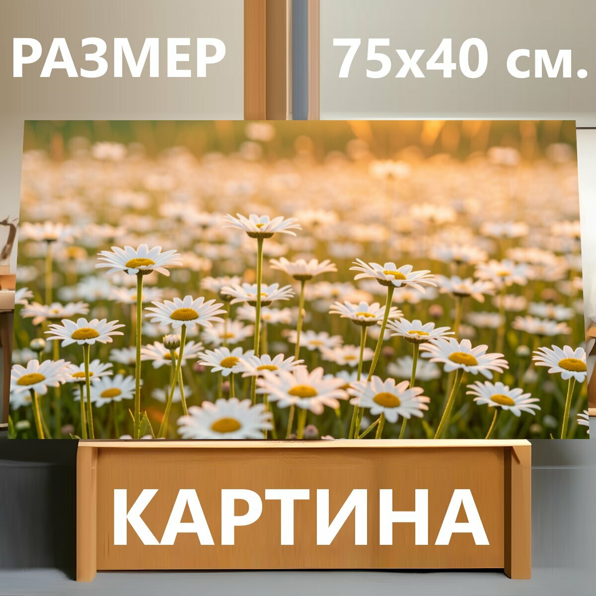 Картина на холсте "Поле ромашек на закате. Нежный природный сюжет с белыми полевыми цветами в лучах золотого вечернего солнца, мягкий размытый." на подрамнике 75х40 см. для интерьера