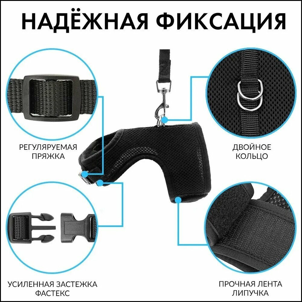 Шлейка, практичный аксессуар для повседневного использования и организации пространства — фото 1