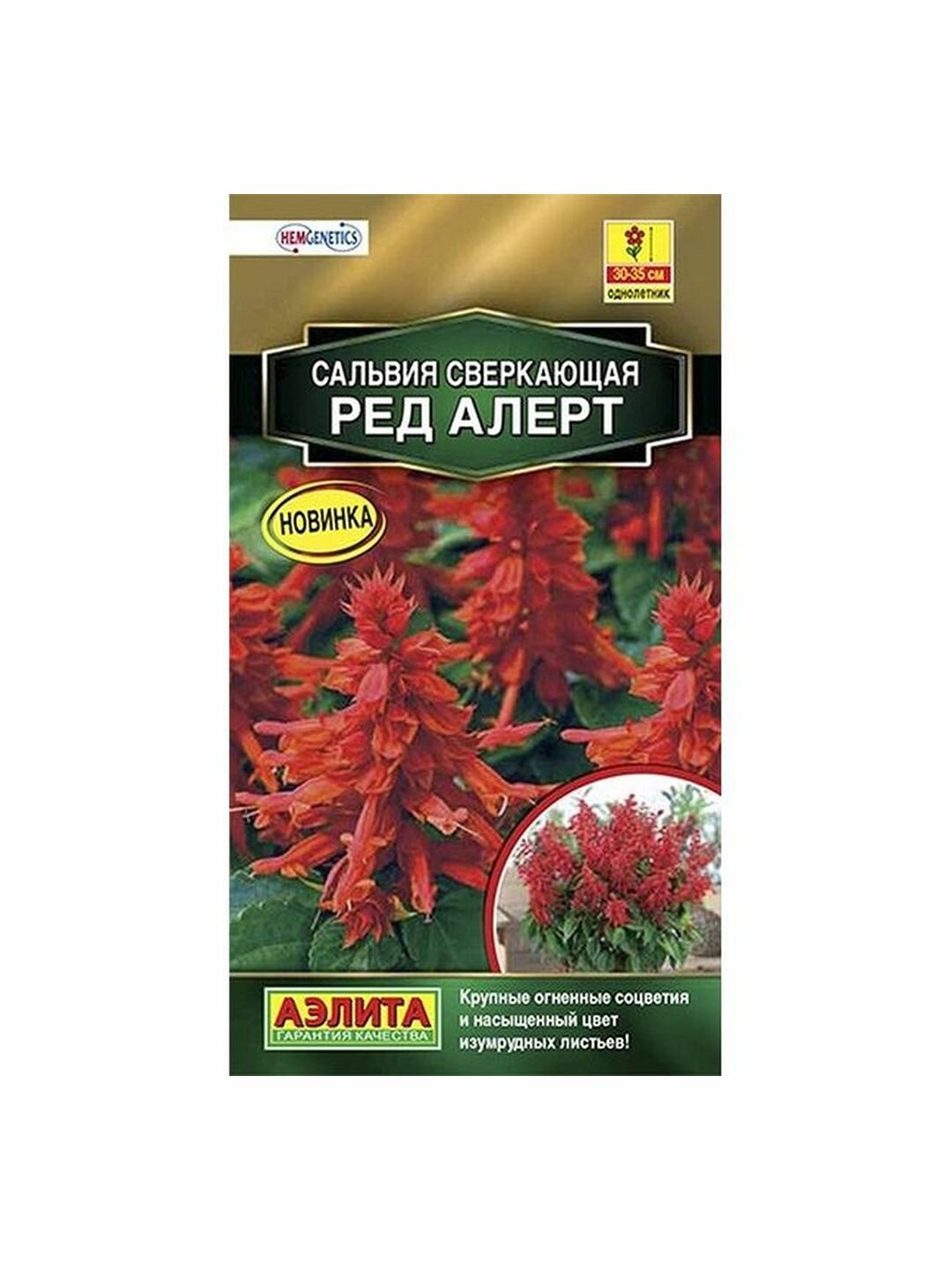 Семена Сальвия сверкающая Ред Алерт, однолетник, Аэлита - Золотая серия, 1 пачка - 7 семян