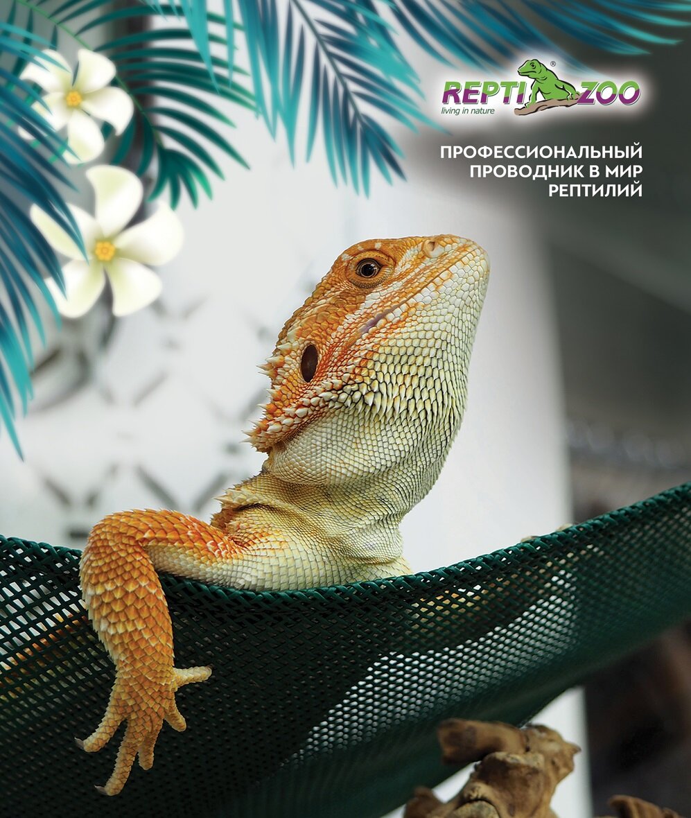 Гамак для рептилий треугольный из нейлонового волокна Repti-Zoo, на присосках, 30*20*20 см