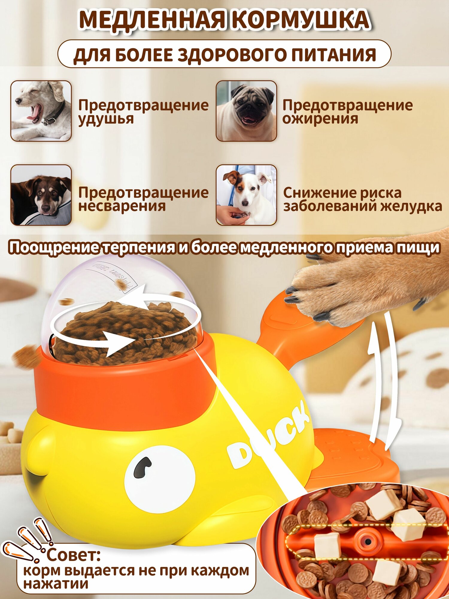 Pet Toy Interactive — фото 1