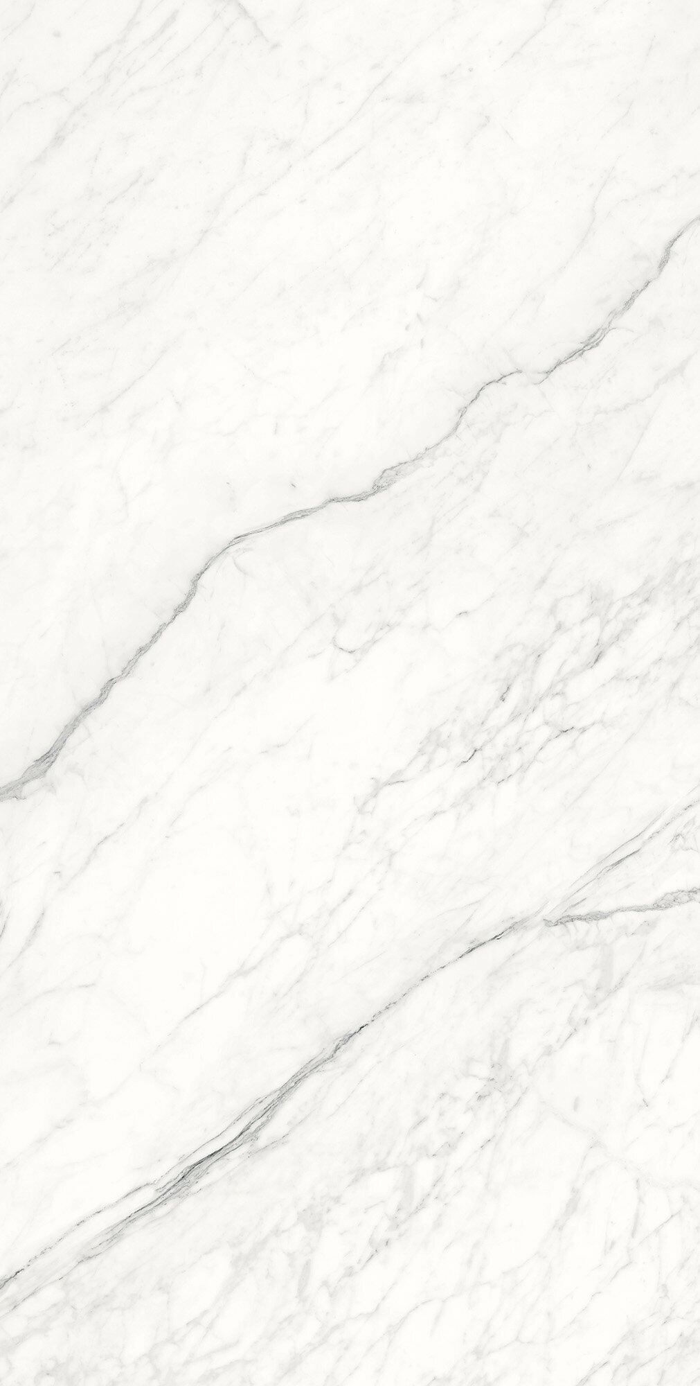 Керамогранит 1600 × 800 мм MONTESA WHITE Матовая с глянцевым эффектом (цена за 1 плитку 1,28м2)