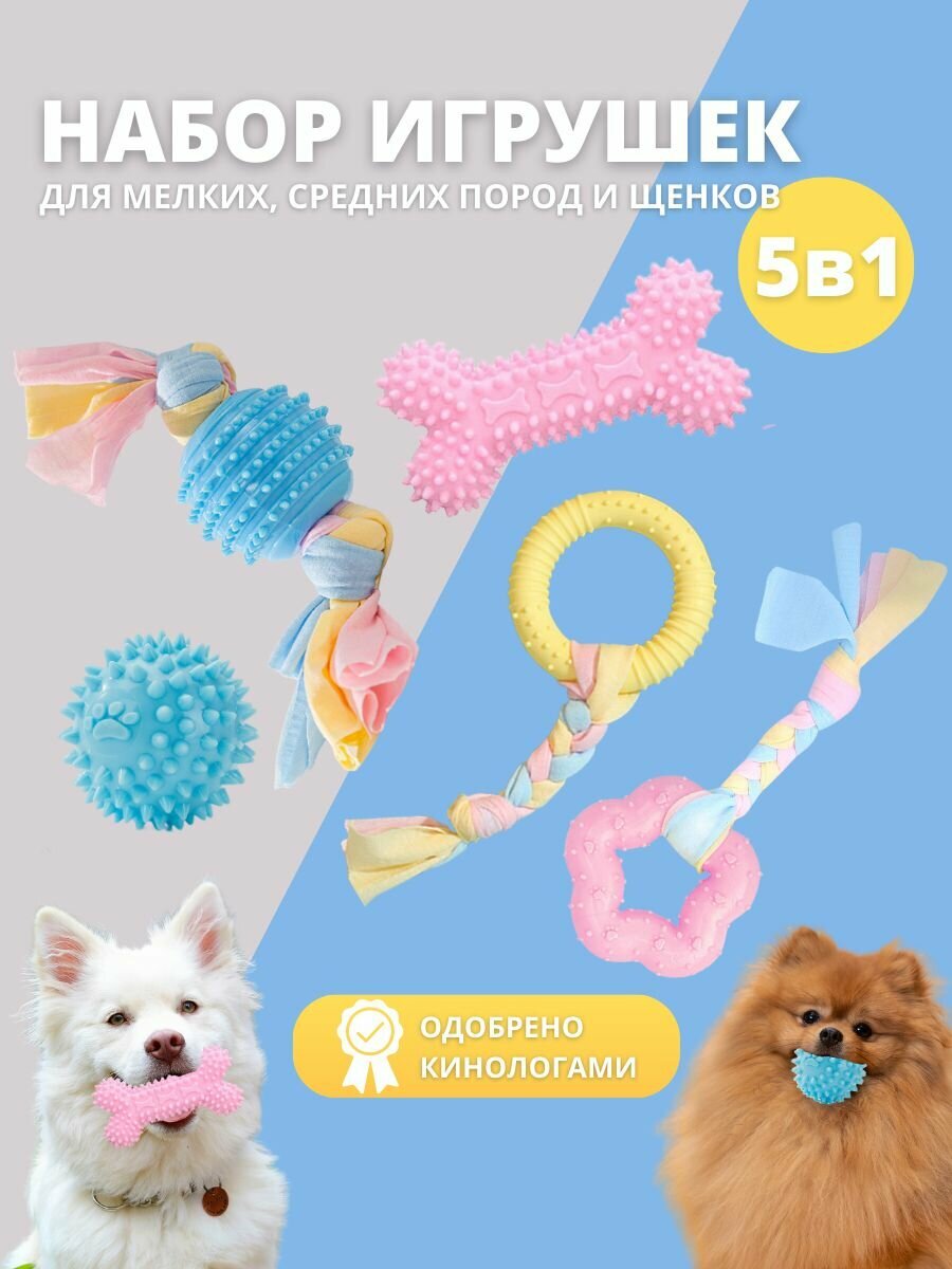 Набор игрушек для собак Paws&Tails, 5 в 1, для здоровья зубов, с лакомствами, розовый, голубой, желтый