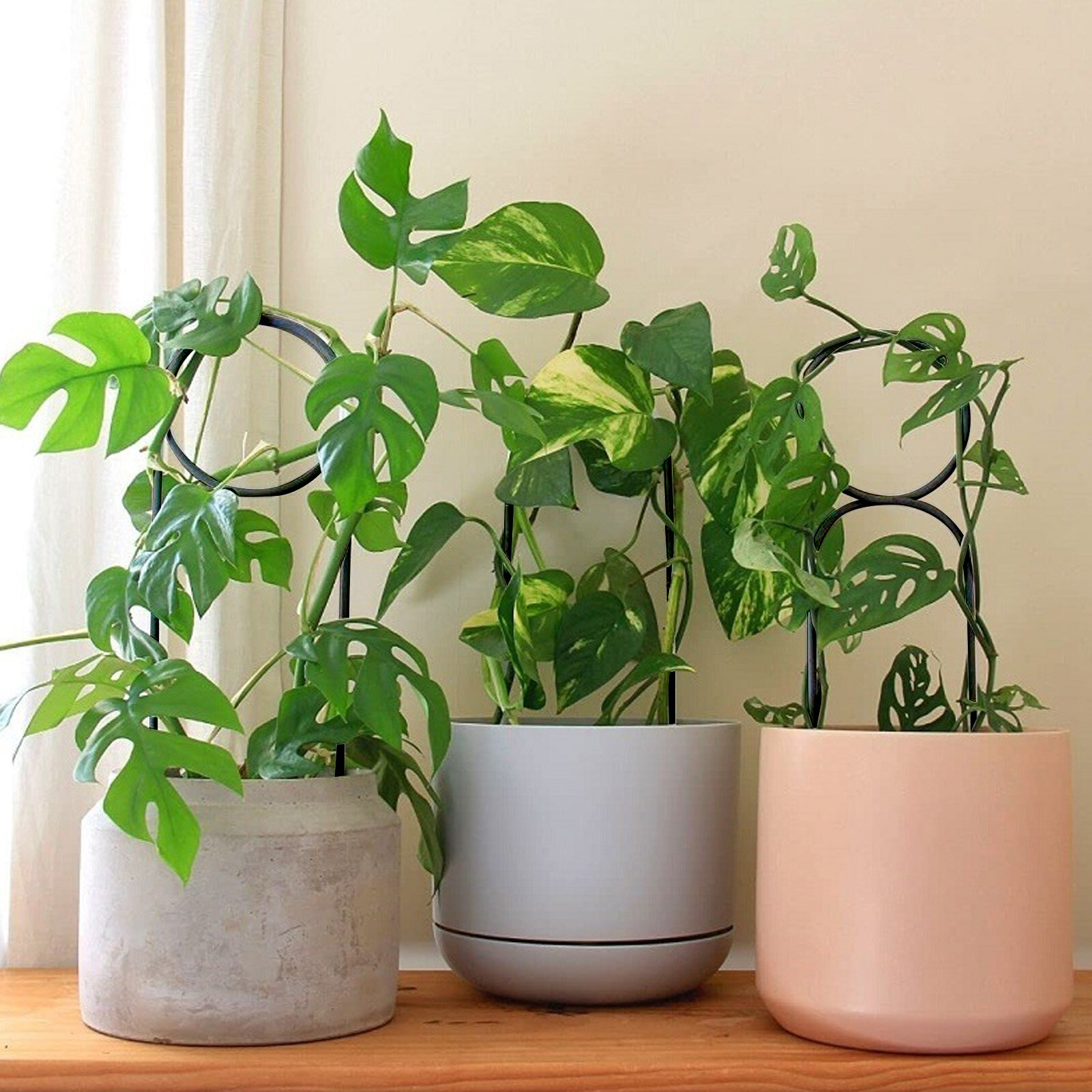 3 шт. решетка для растений 40 см кованая металлическая решетка для вьющихся растений комнатное зеленое растение в горшке цветочная композиция кронштейн черный