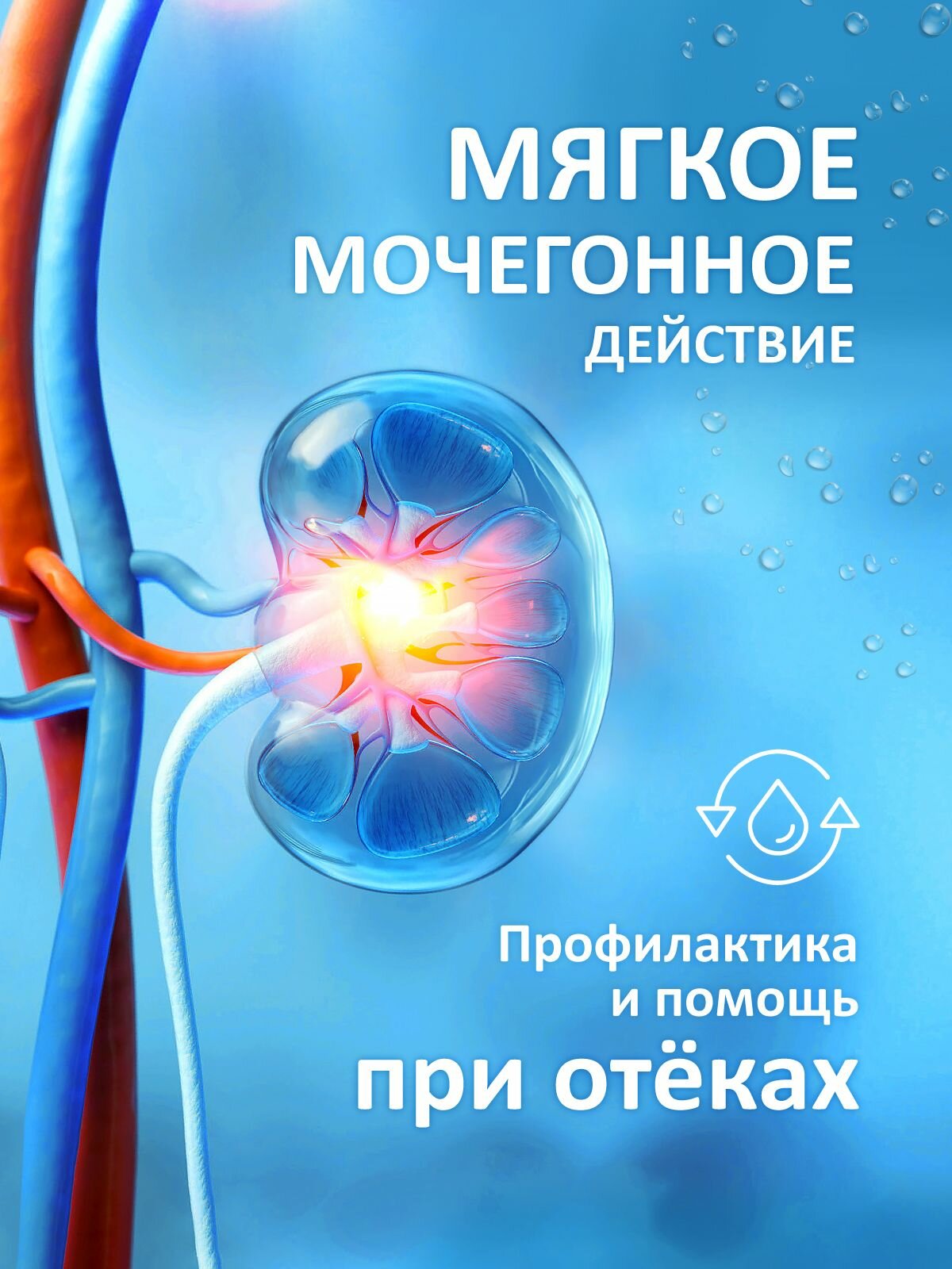 БАД для почек Нефросан Форте. Золототысячник, розмарин, клюква, брусника, арбутин, 30 капсул — фото 1