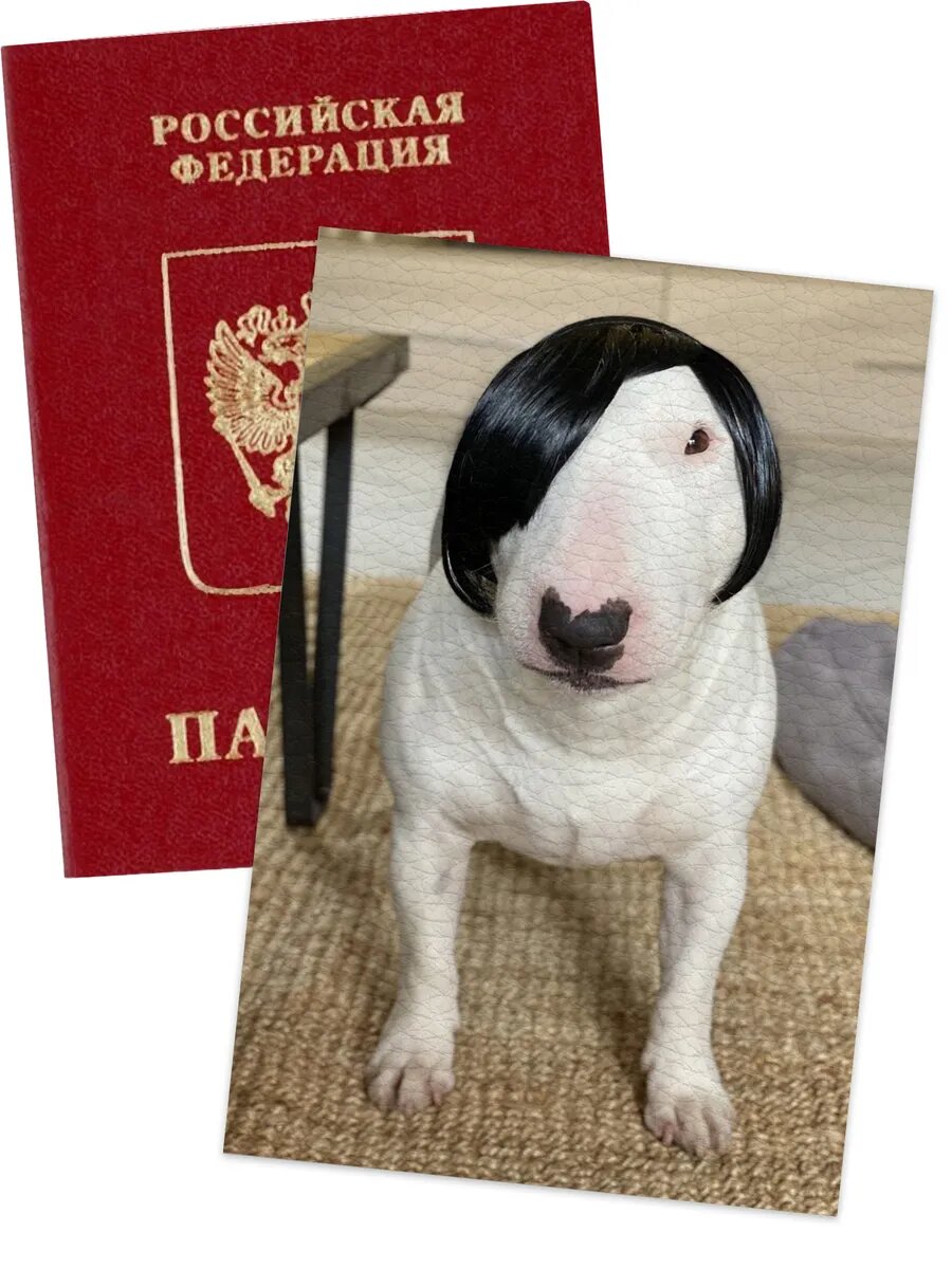 Обложка для паспорта