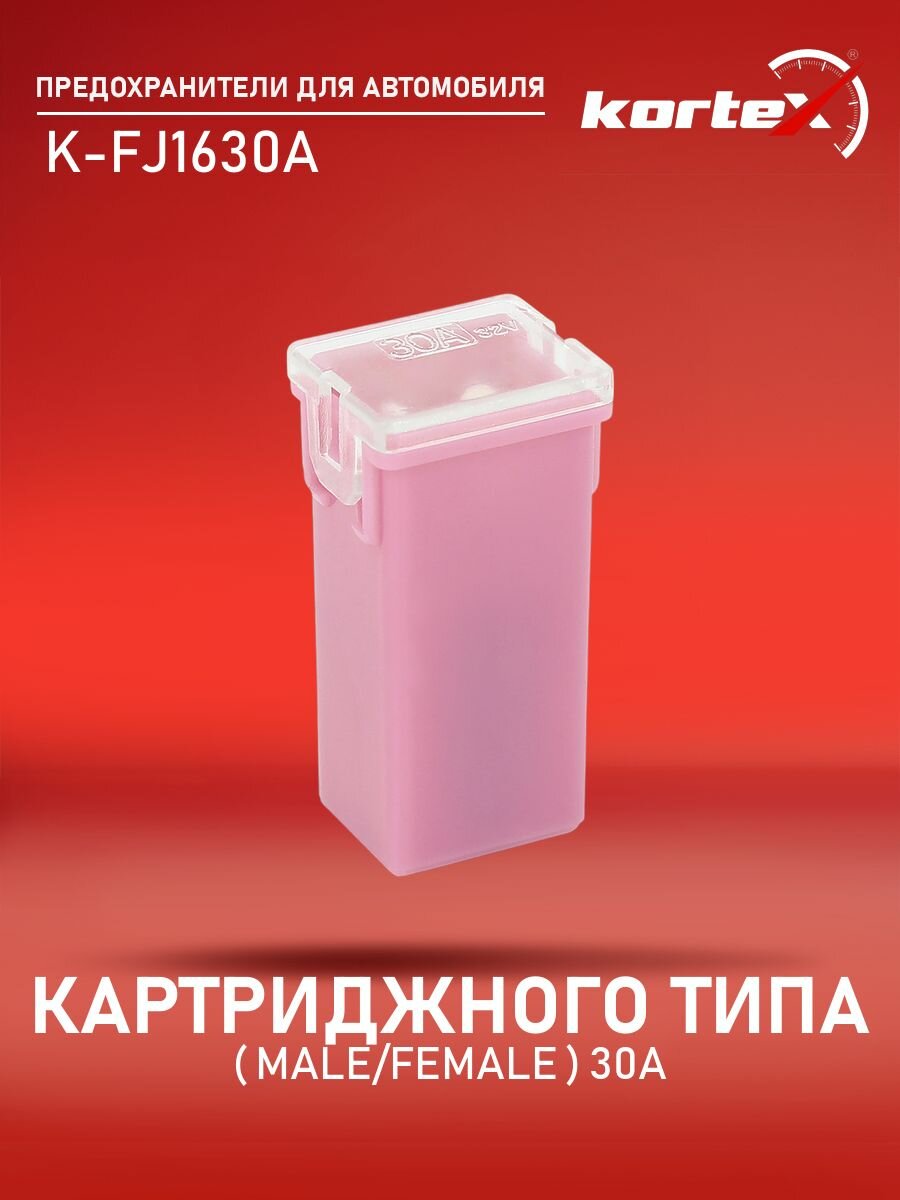 Предохранитель картриджного типа ( male/female ) 30A