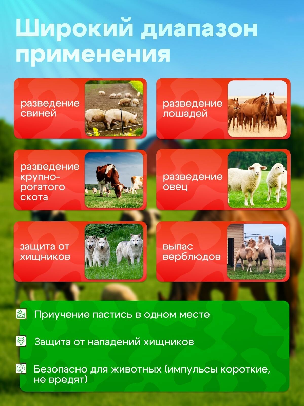 Электропастух "LIDER", до 10км, мощность 2.5Джоуля, питание 220В и 12В, в упак. 1 шт — фото 1