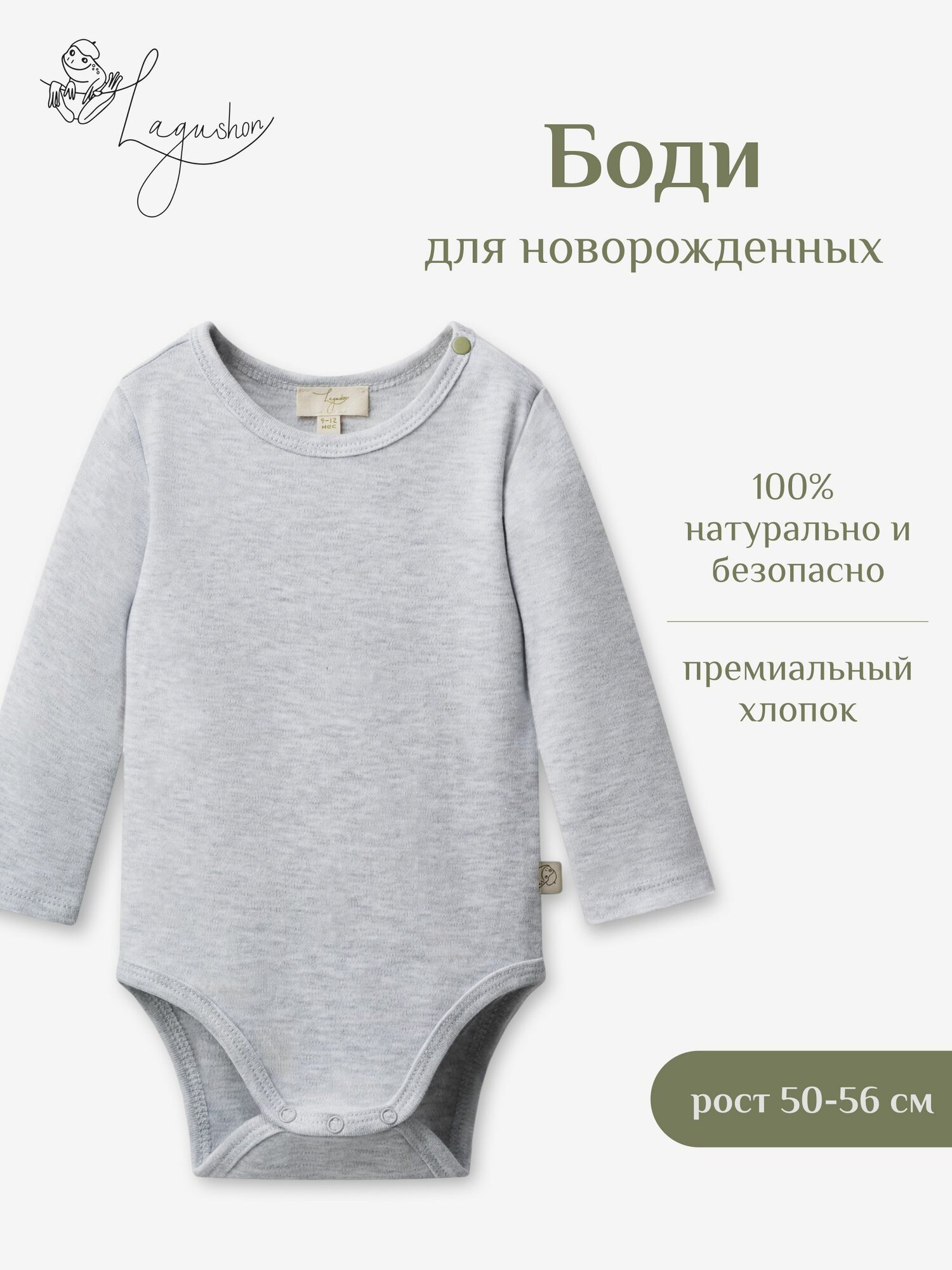 Боди
