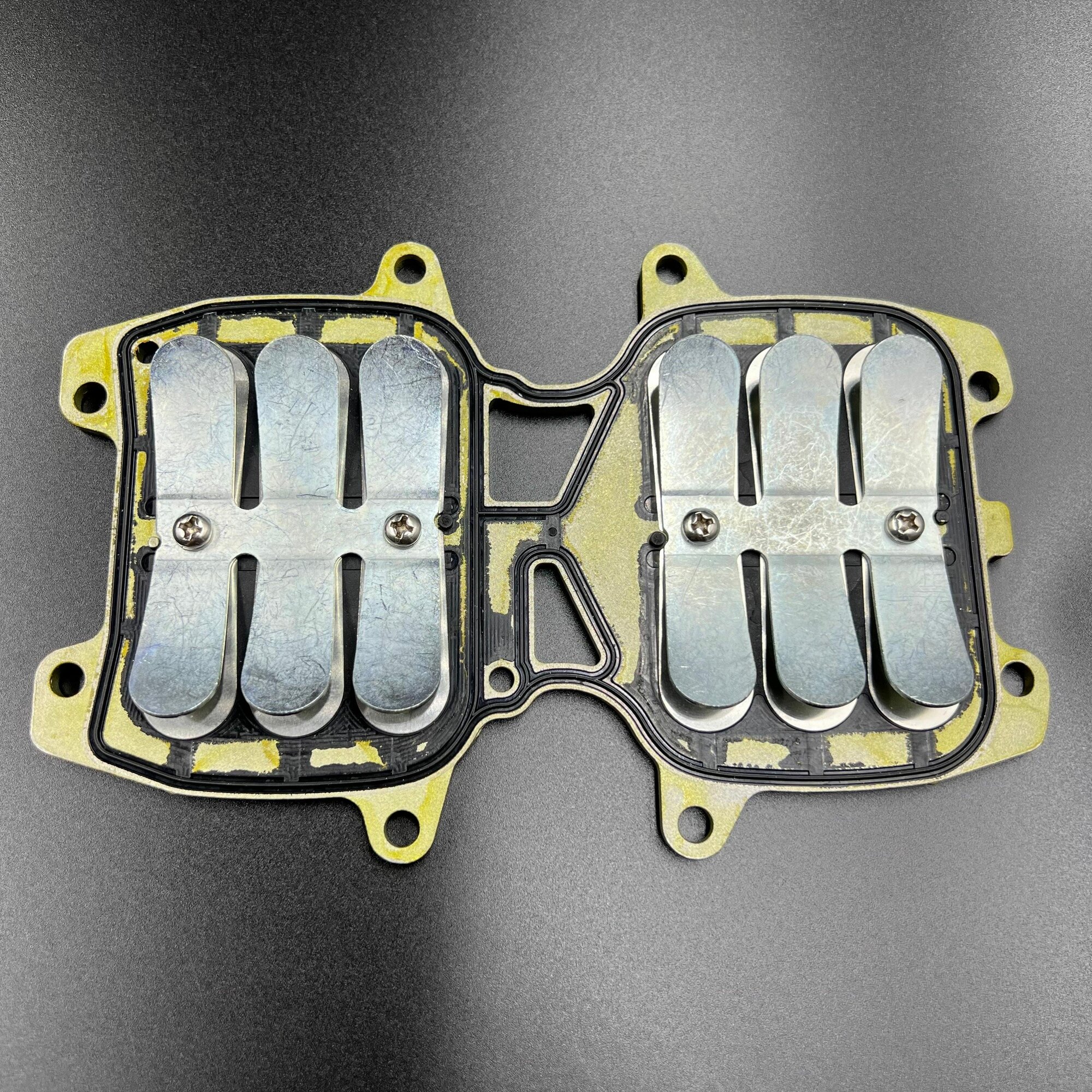 Лепестковые клапана Yamaha 40X (В сборе) (YUELANG) OEM номера: 66T-13610-00