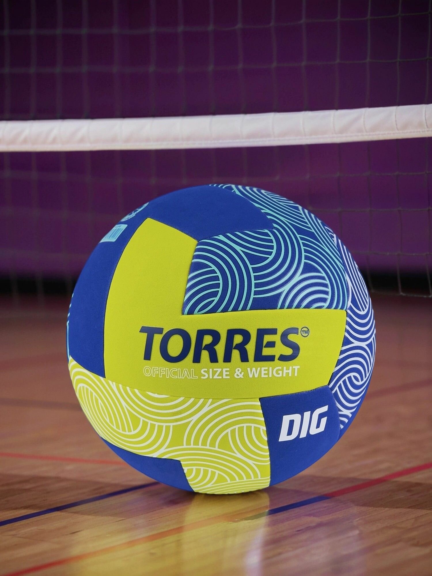 Волейбольный мяч Torres Dig