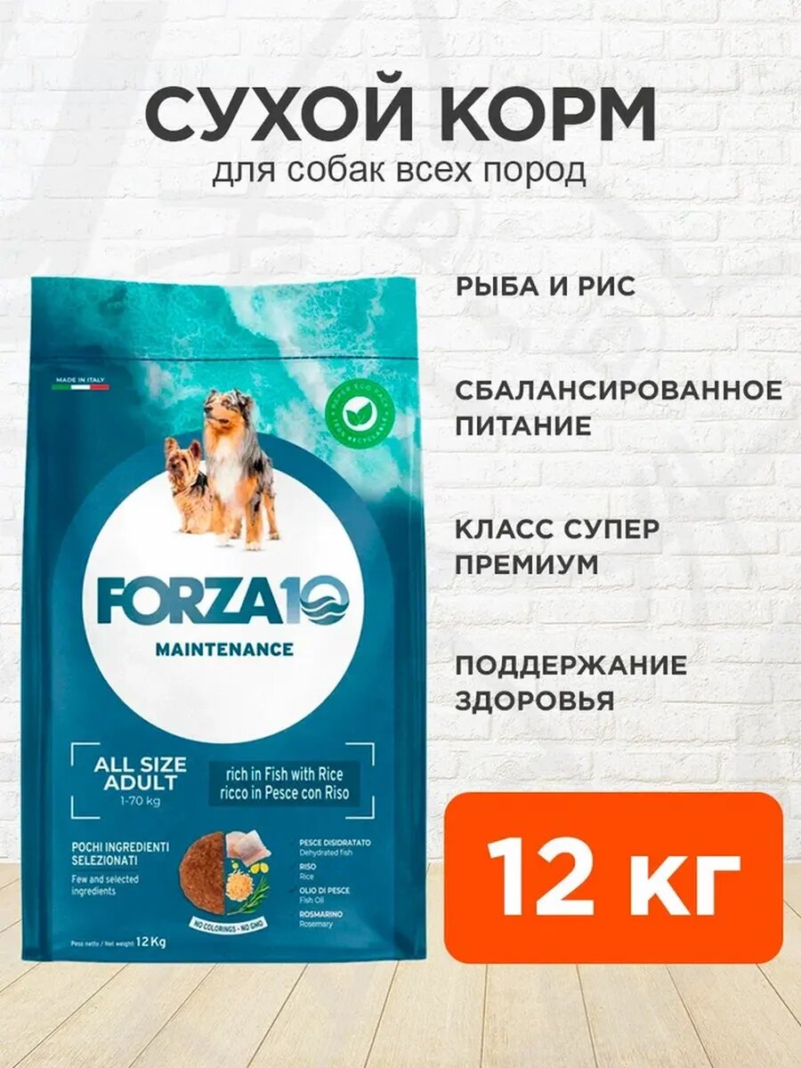 Корм сухой Forza10 Dog Maintenance Adult All Size для взрослых собак всех пород с рыбой и рисом, 12 кг