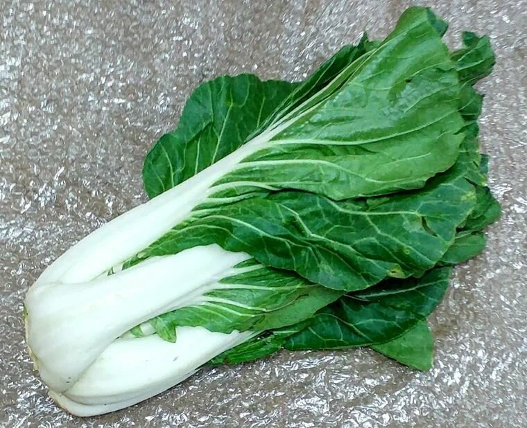 Коллекционные семена капусты китайская Тибетский Лекарь