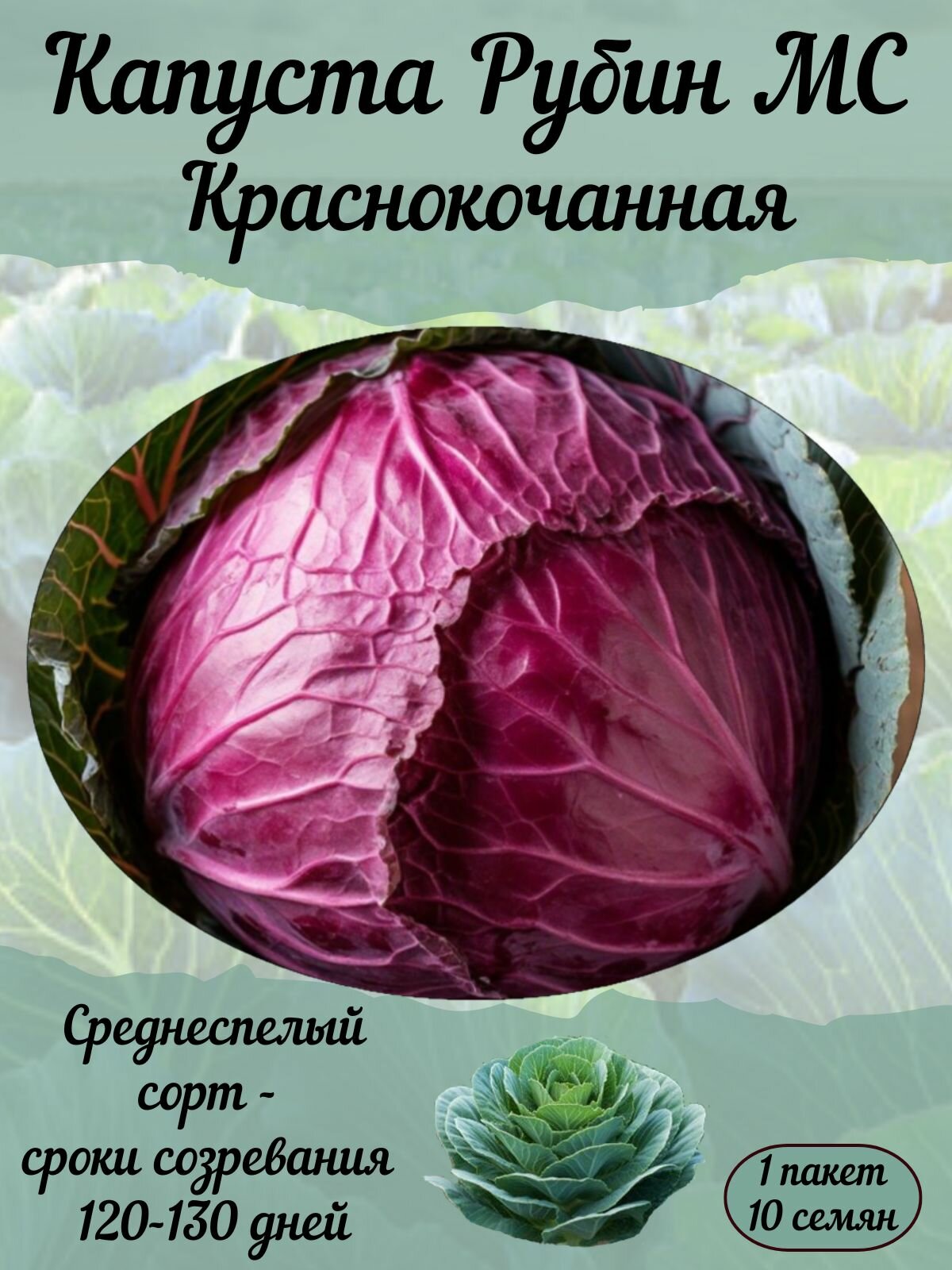 Капуста Рубин МС Краснокочанная, 10 шт, 15 гр.